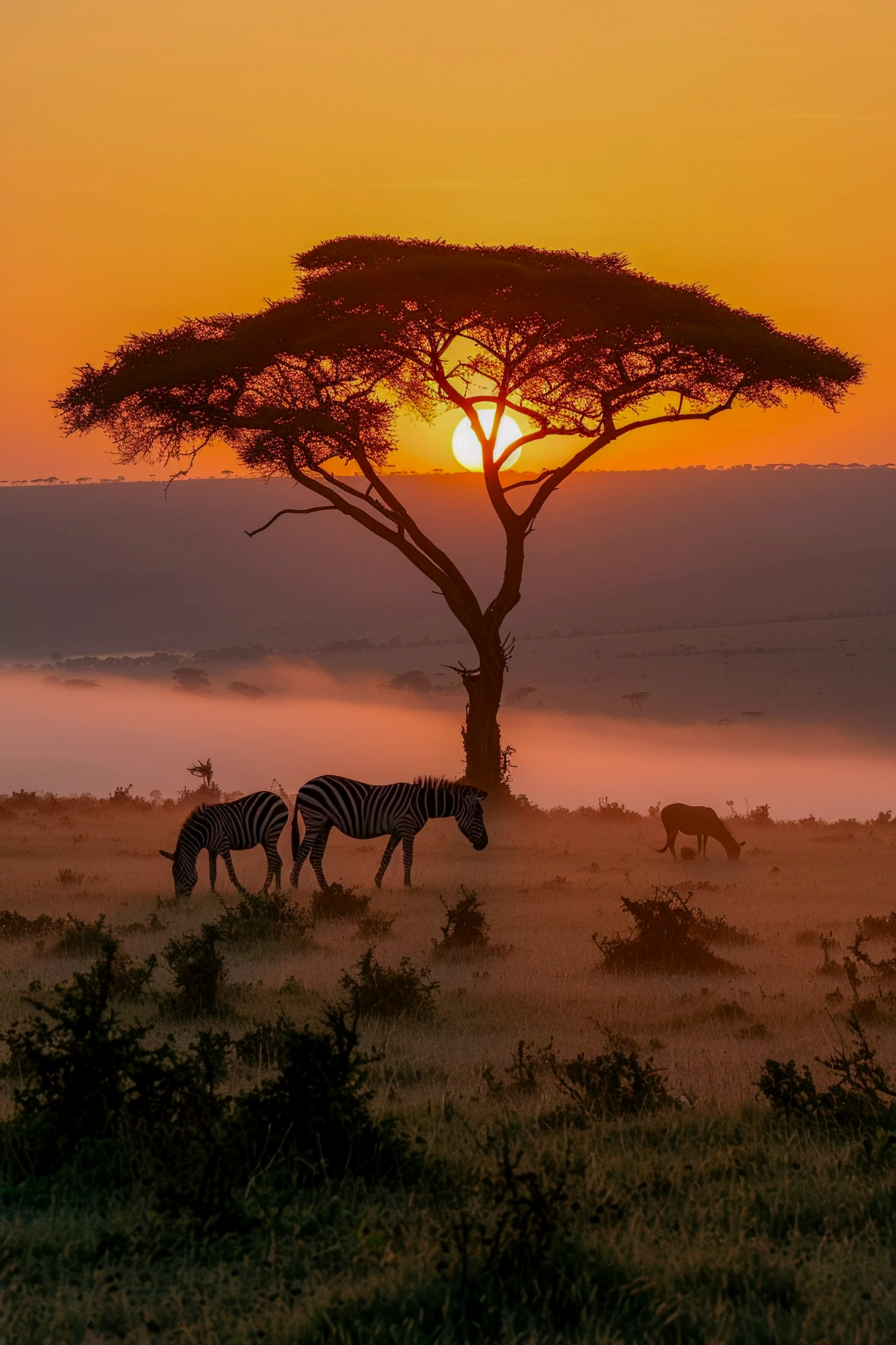 Accueil | CENA E-LEARNING